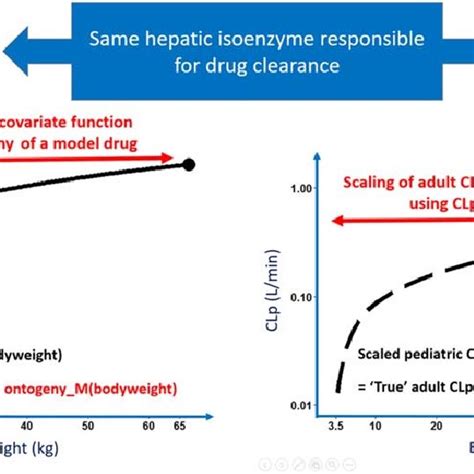 Illustration Of Between Drug Extrapolation Of Pediatric Covariate