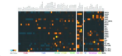 Heatmap Shows The Rna Expression Of The Indicated Receptors Among Download Scientific Diagram
