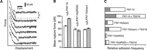 Force Measurements Of The α5β1 Integrin Fibronectin Interaction Pmc