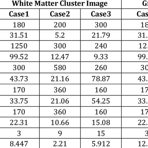 Mri Cerebral Tissue Segmentation Based On Fuzzy Level Set For White
