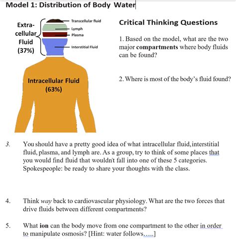 [solved] Model 1 Distribution Of Body Water Transcellular Fluid Course Hero