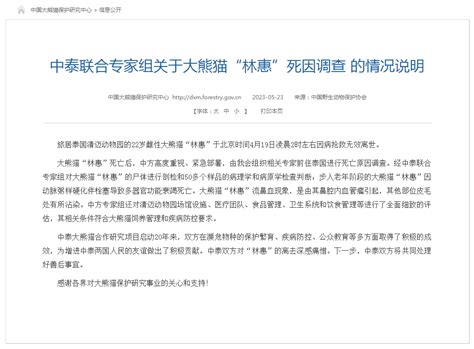 旅泰大熊猫“林惠”死因公布 新华网客户端