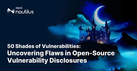 Uncovering Flaws In Open Source Vulnerability Disclosures