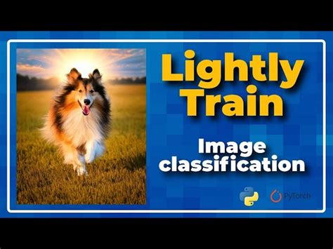 Free Video Self Supervised Learning Made Easy With Lightlytrain Image Classification Tutorial