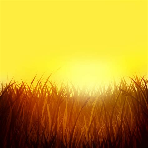 Ryky Grass Test By Thebestbigbrother On Deviantart Ryky Grass Test By Thebestbigbrother On Deviantart