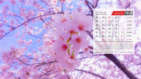 پس زمینه تقویم فروردین 1402 با عکس شکوفه های بهاری اِم والپیپر