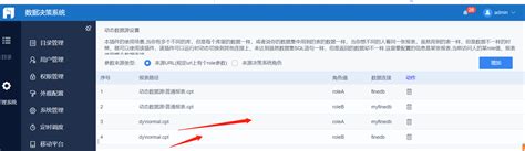 动态数据源插件30完成 我的帆软