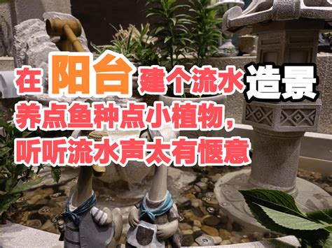 在阳台上建个流水造景养点鱼养花喜欢吗 搜狐大视野 搜狐新闻