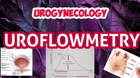 Uroflowmetry Youtube