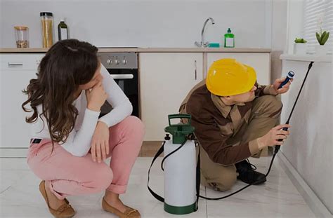 Pest Control In Melbourne 7 States Pest Control