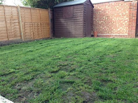 Patchy And Bumpy Grass Gardeners Corner The Friendly Gardening Forum