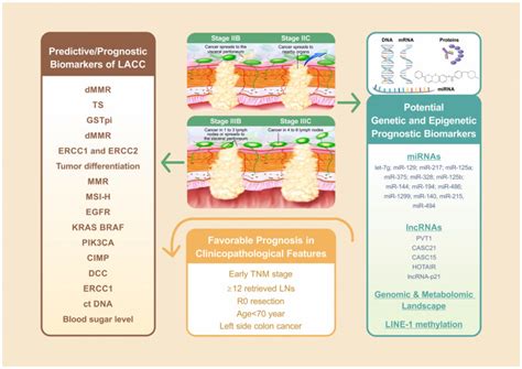 Comprehensive Review Of Biomarkers For The Treatment Of Locally Advanced Colon Cancer Pmc