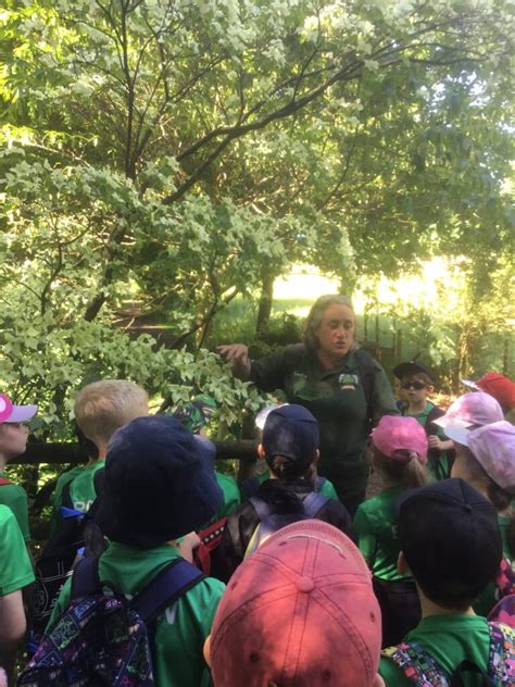 Bodenham Arboretum Trip Brown Clee Ce Primary School