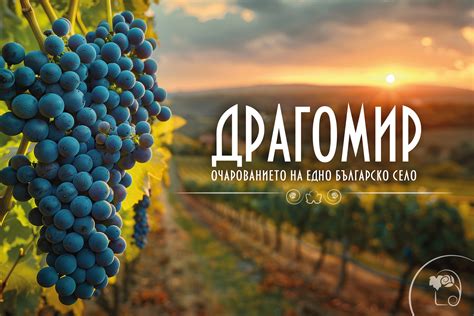 Сдружение ЗА СЕЛОТО Село Драгомир е разположено в подножието на Средна гора сред красив