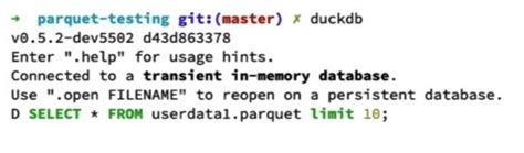 In Process Analytical Data Management With DuckDB