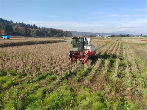 大豆収穫村木沢あじさい営農組合山形の芋煮悪戸いも米味噌を販売