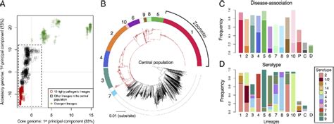 The Relationship Between Pathogenicity And Genetic Structure Within S