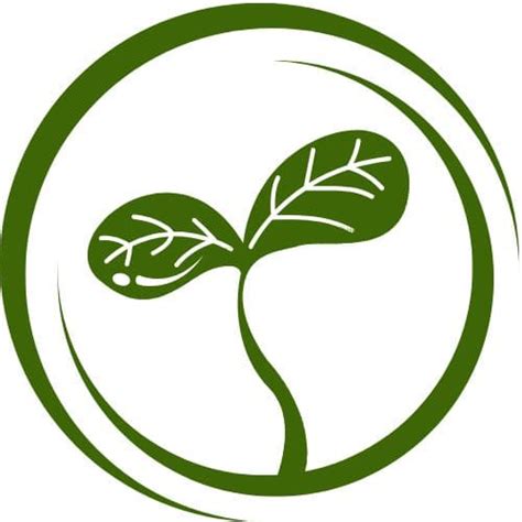 Grow A Conker Tree From Chestnut Step By Step Guide Plant Grower World