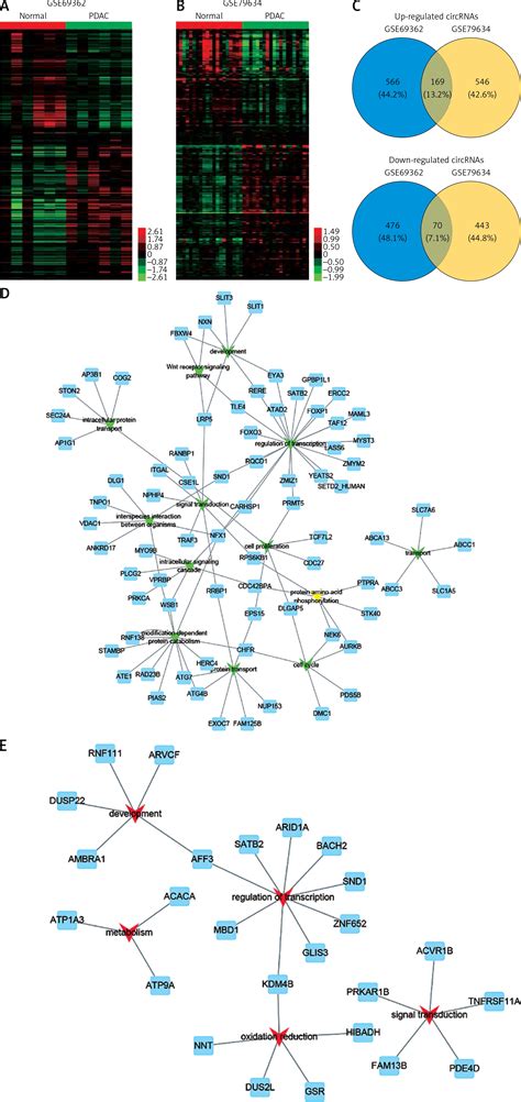 Comprehensive Analysis Of Differentially Expressed CircRNAs Revealed A