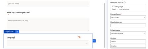 Set Language Of Person Submitting Realtime Marketing Forms