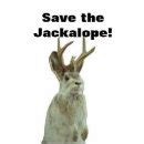 Good Morning Gomorrah Save The Jackalope Pinback Button Zazzle