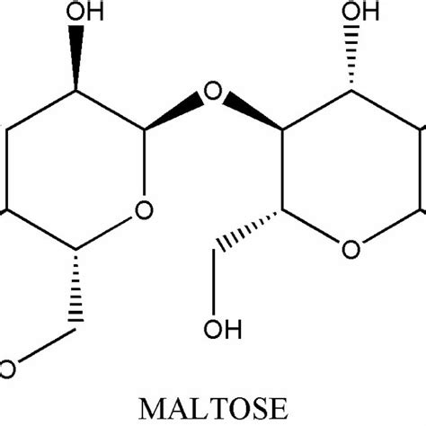 Obstruction Theory Of Diffusion In A Gel Download Scientific Diagram
