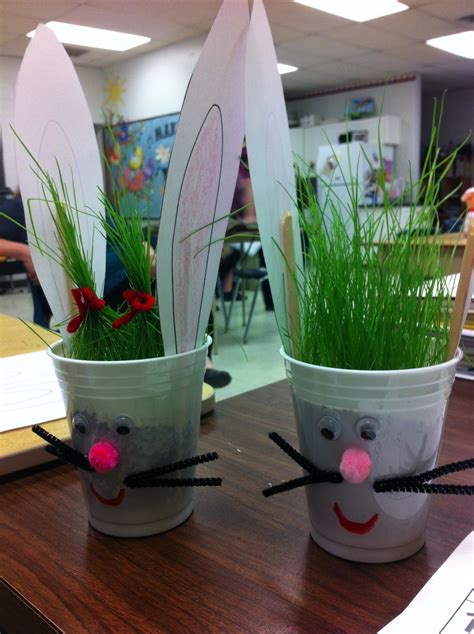 Easter Bunny Chia Pet Had The Students Grow Grass In Cups A Head Of