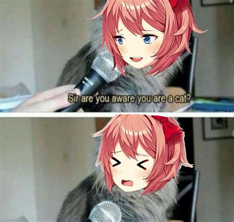 Sayori Memes Are Pretty Good Ddlc