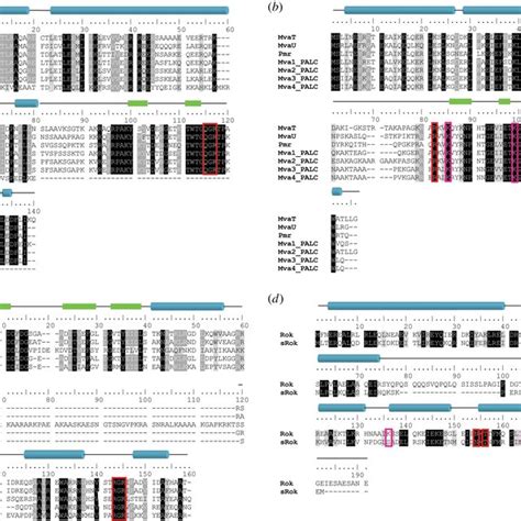 Fold Topology And Oligomerization States Of H Ns Like Proteins Left