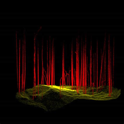 How Lidar Is Becoming An Essential Tool In Forestry Article Faro