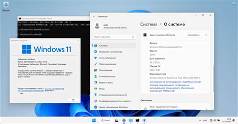 Полезные советы по установке сетевого драйвера для Windows 11 64 Bit Инструкции по Windows
