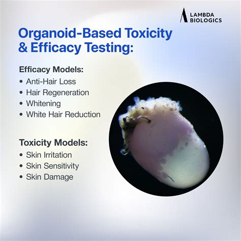 Lambda Biologics Leipzig