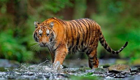 Why And When To Use Eigenvalues And Eigenvectors Analytics Yogi