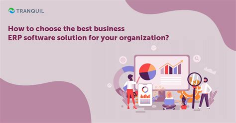 How To Choose The Best ERP Software Tranquil