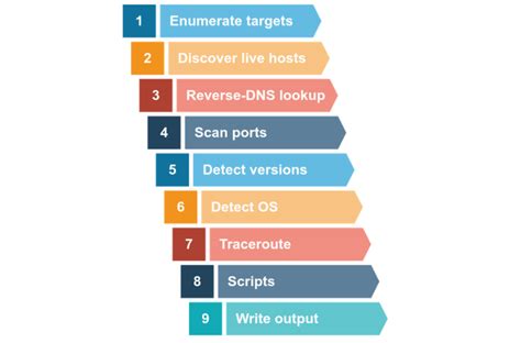 tryhackme nmap live host discovery