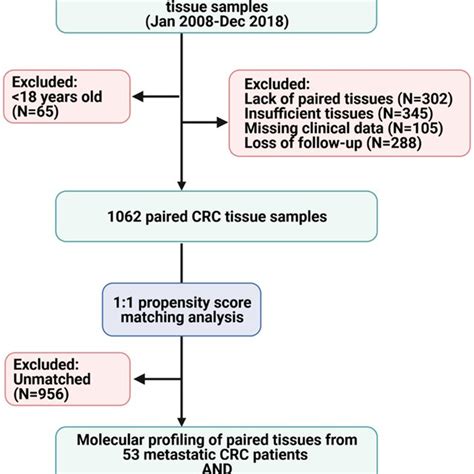 Workflow Of The Selection Process Screening Of 2167 Tissue Specimens Download Scientific