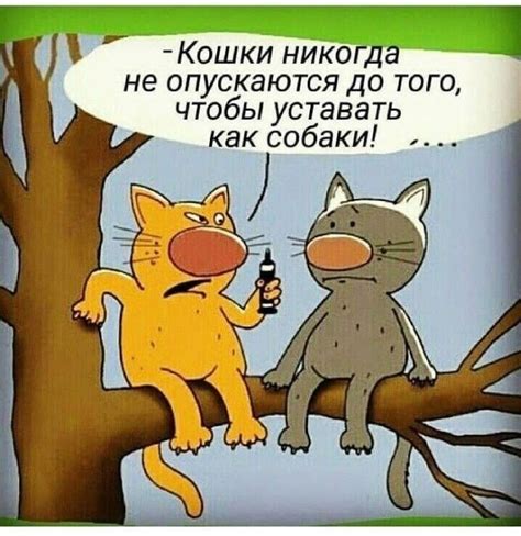 Пин на доске Юмор Смешные открытки Веселые мысли Смешные смайлики