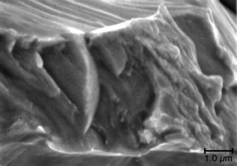 Scanning Electron Micrograph Of Rapid Transgranular Fracture In Pure Rh Download Scientific