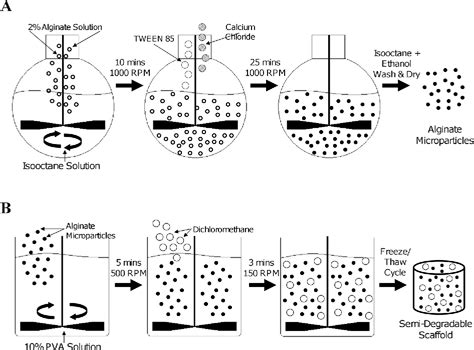 Figure 1 From A Semi Degradable Composite Scaffold For Articular Cartilage Defects Semantic