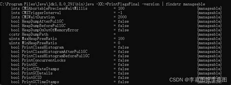 jvm参数与监控指令详解 csdn博客