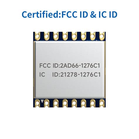 Sx1262 915mhz Lora Module With Esd Protection Fcc Id Certified Lora1262