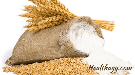 Quinoa Vs Wheat Which Grain Is More Nutritious Healthagy