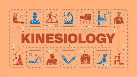 Kinesiology Orange Word Concept Body Movement Science Rehabilitation