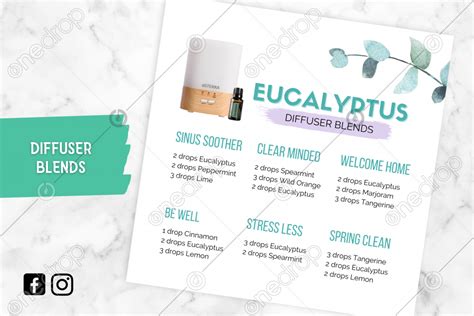 Eucalyptus Diffuser Blends By Amy Schultz