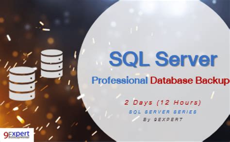 Professional Sql Server Database Backup 9expert