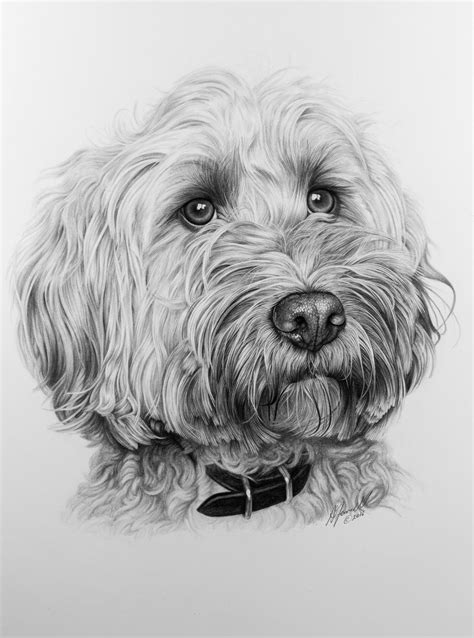 Arthur The Cockapoo By Grimleyfiendish On Deviantart