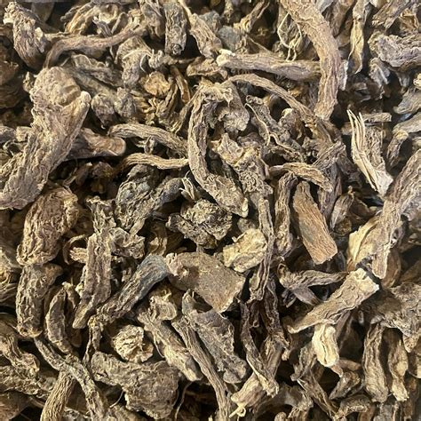 Coleus Root Sons Of Asgard