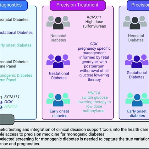 Schematic Overview Of How Precision Diagnostics Leads To Precision Download Scientific Diagram