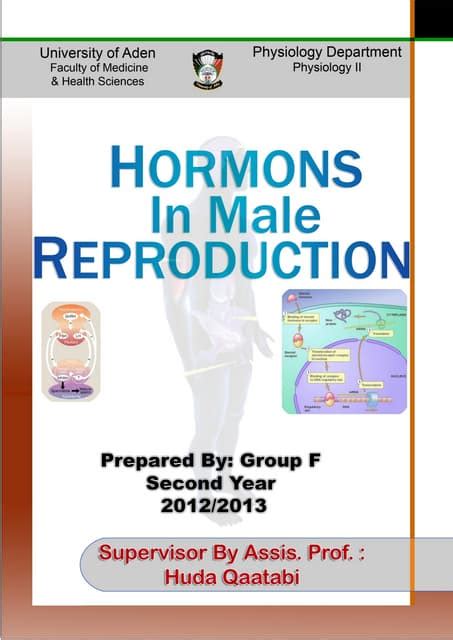 Testosterone Pptx
