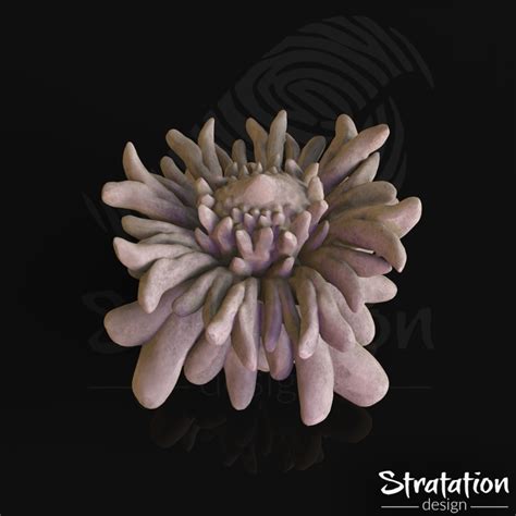 Stl File Abyssal Water Lily V1・model To Download And 3d Print・cults
